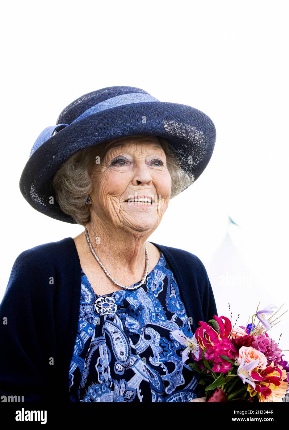 Princess beatrix opens prince claus bridge hi-res stock photography and ...