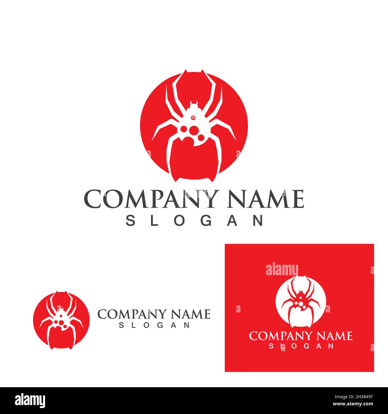 Spider logo template Stock Vector Image & Art - Alamy