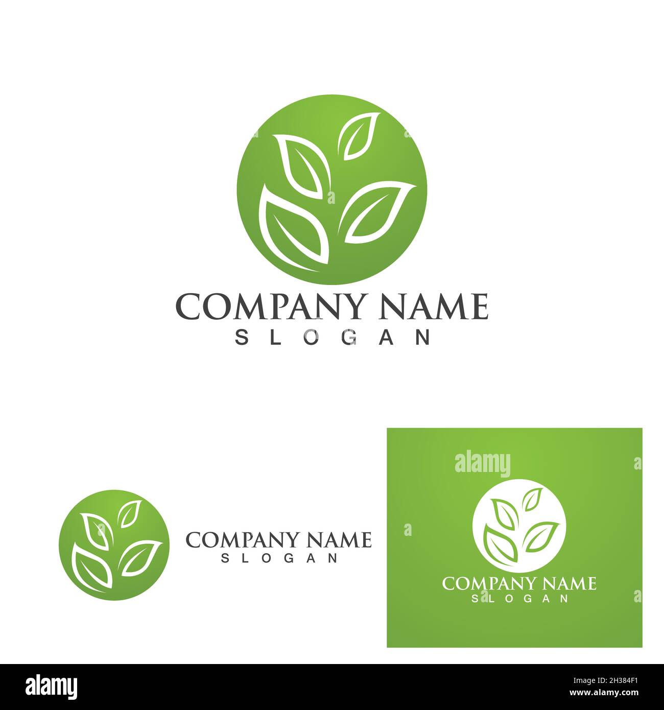 Leaf tree green logo and symbol vector Stock Vector Image & Art - Alamy