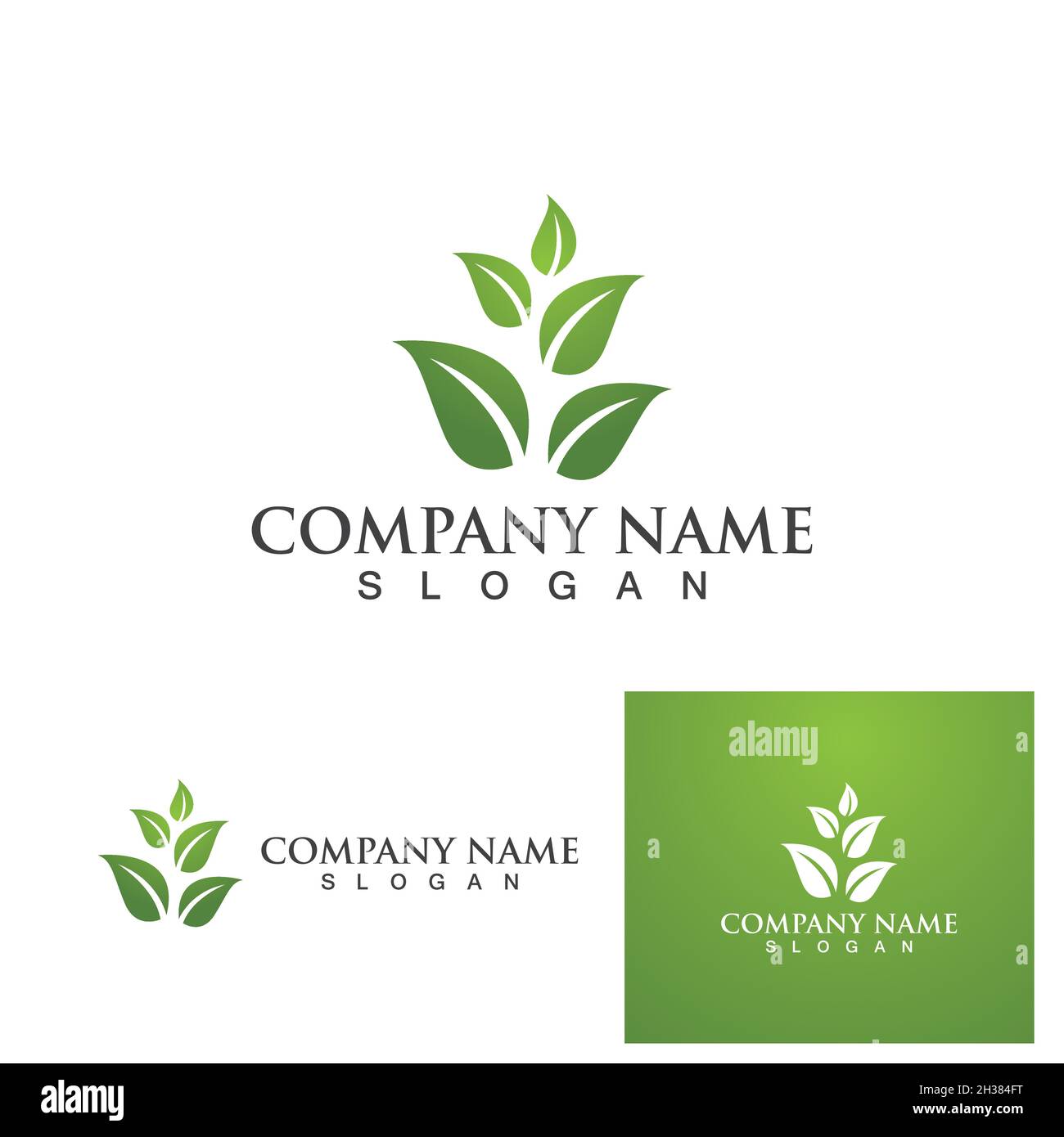 Leaf tree green logo and symbol vector Stock Vector Image & Art - Alamy