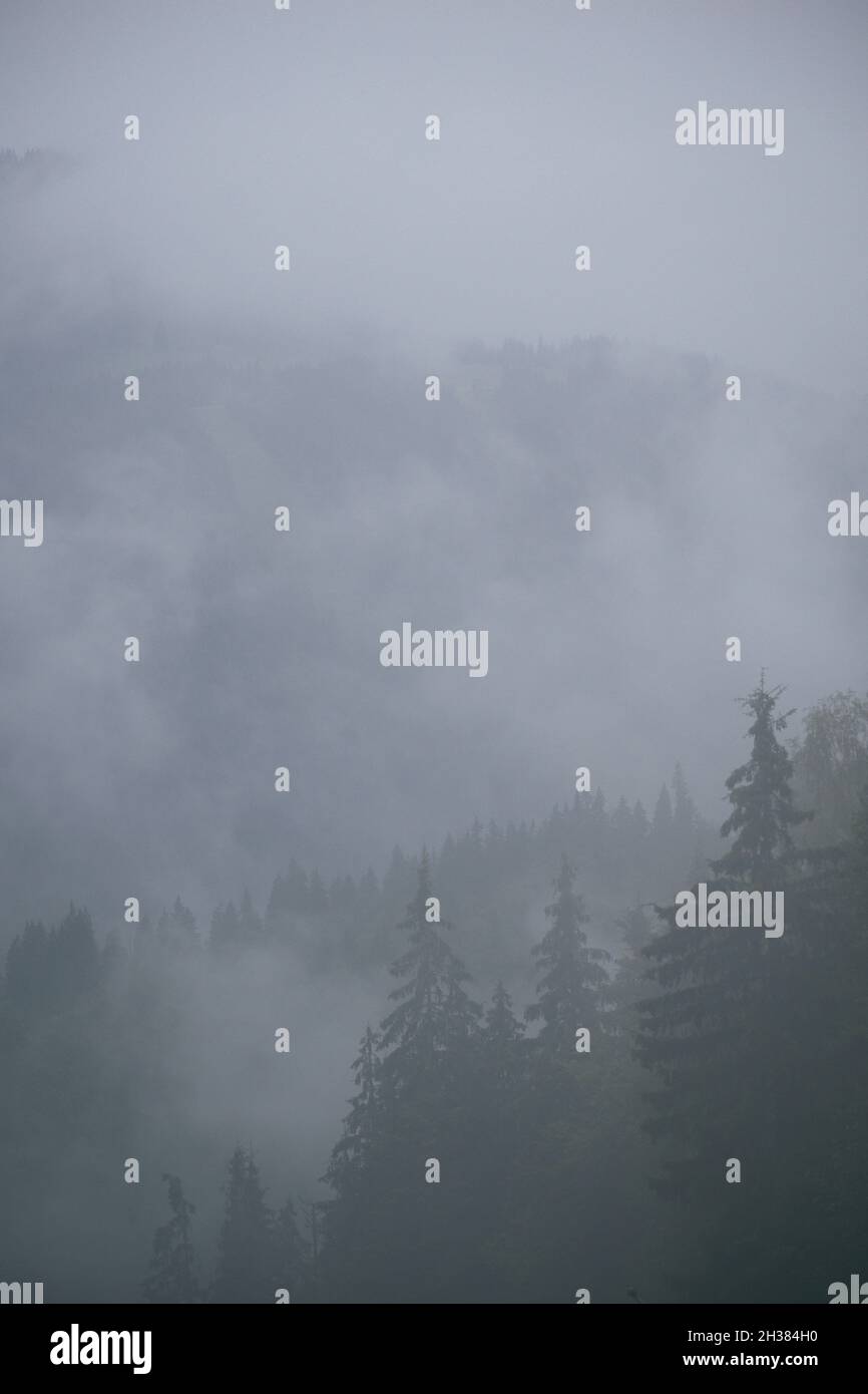 Mist evaporates hi-res stock photography and images - Alamy