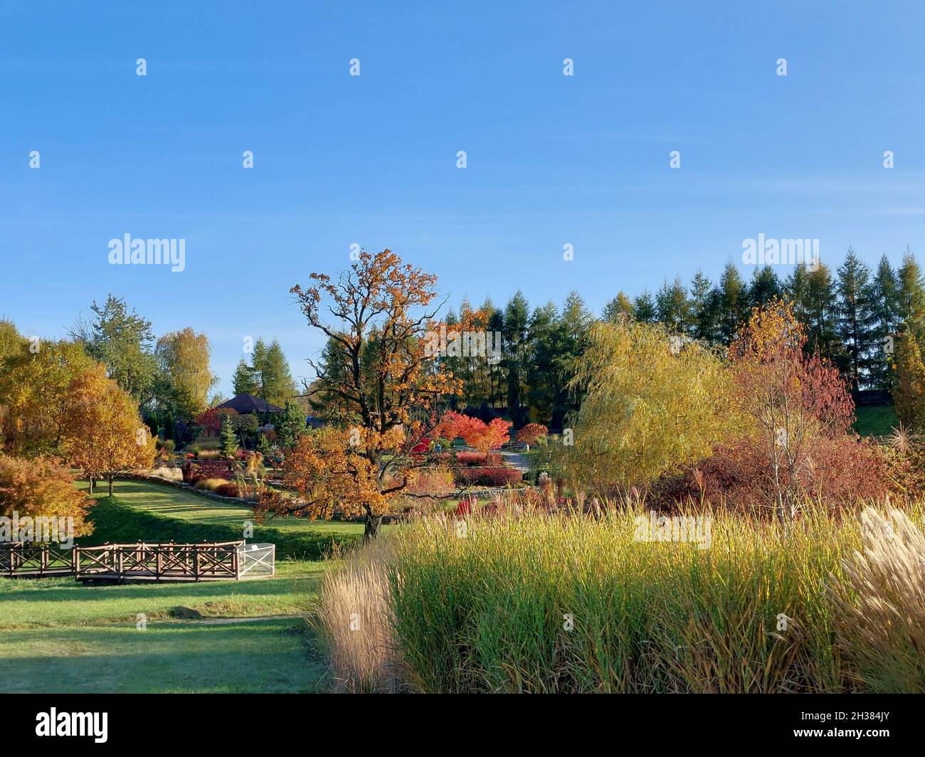 Autumn in botanical garden Stock Photo - Alamy