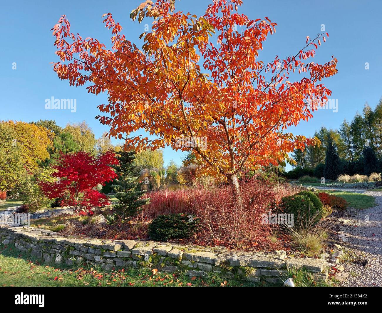 Autumn in botanical garden Stock Photo - Alamy