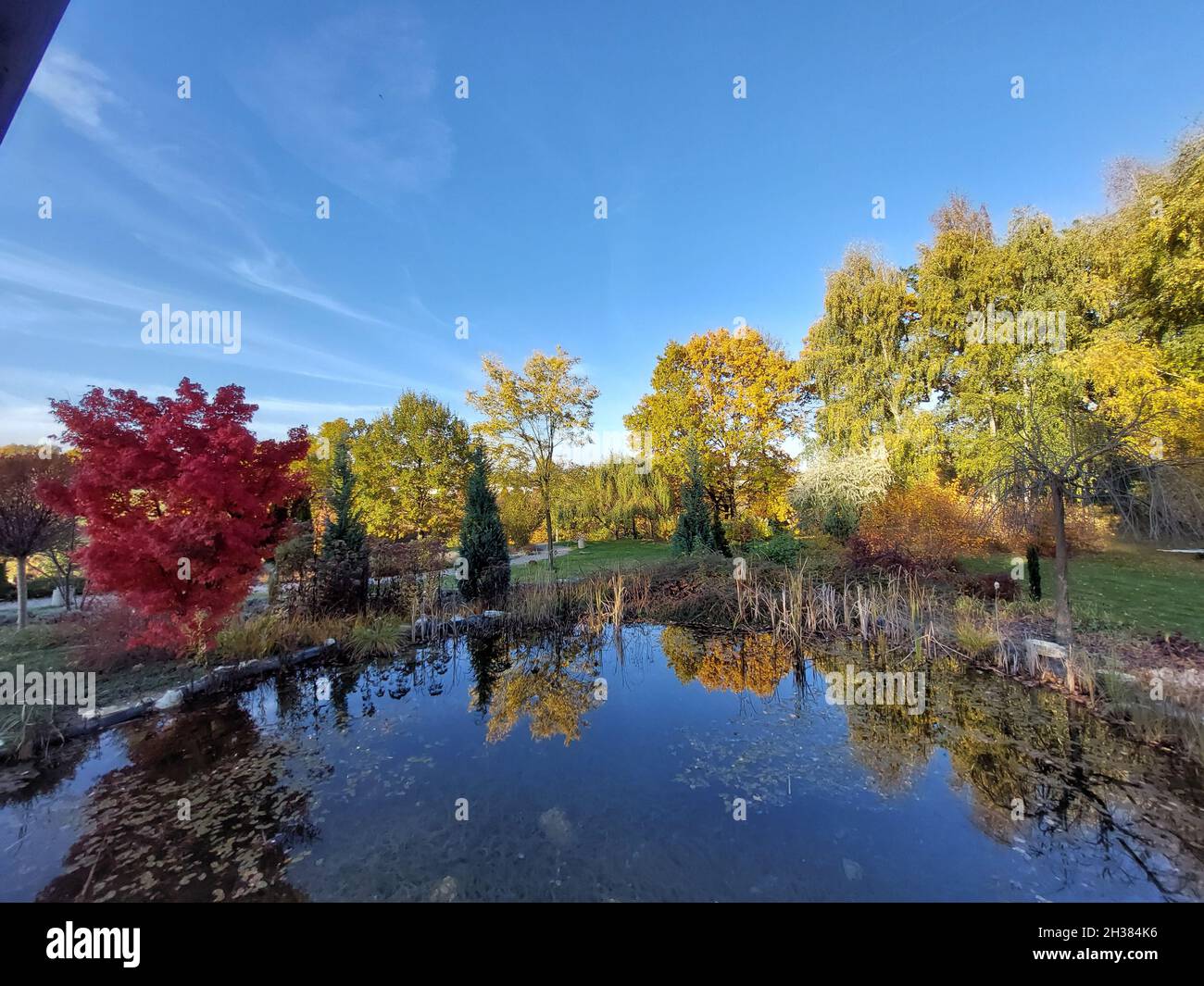 Autumn in botanical garden Stock Photo - Alamy