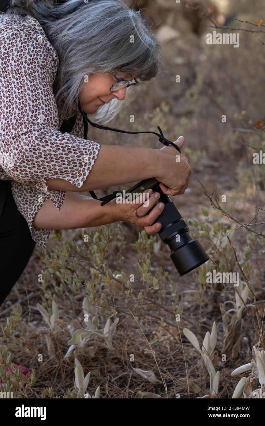 woman taking pictures Stock Photo - Alamy