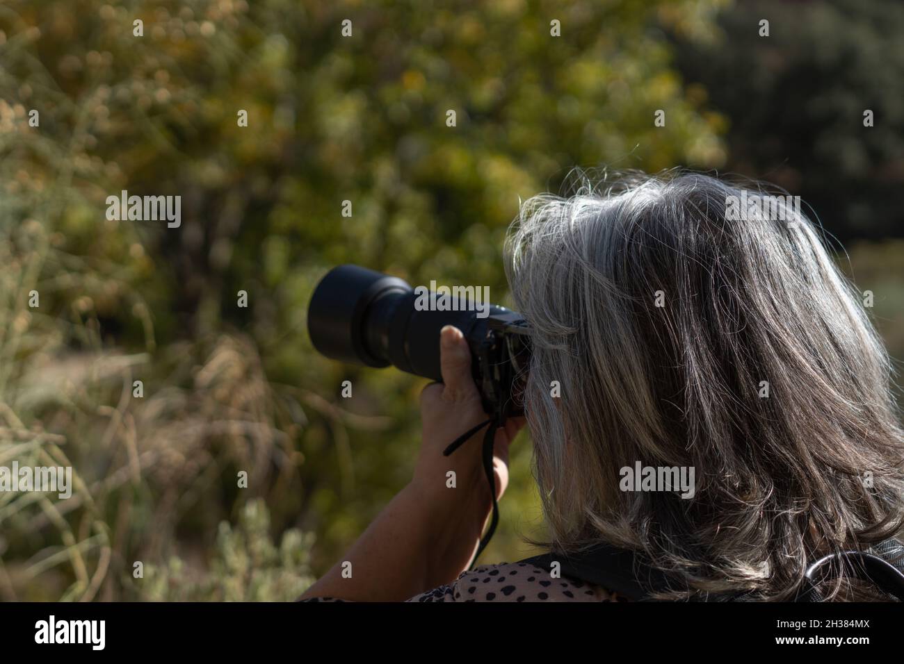 woman taking pictures Stock Photo - Alamy