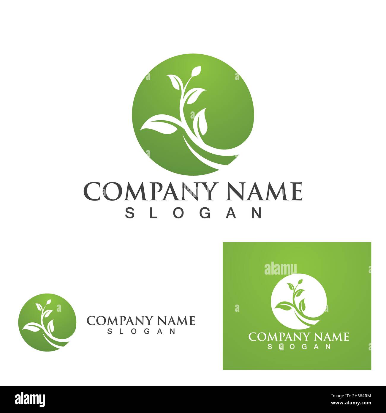 Leaf tree green logo and symbol vector Stock Vector Image & Art - Alamy