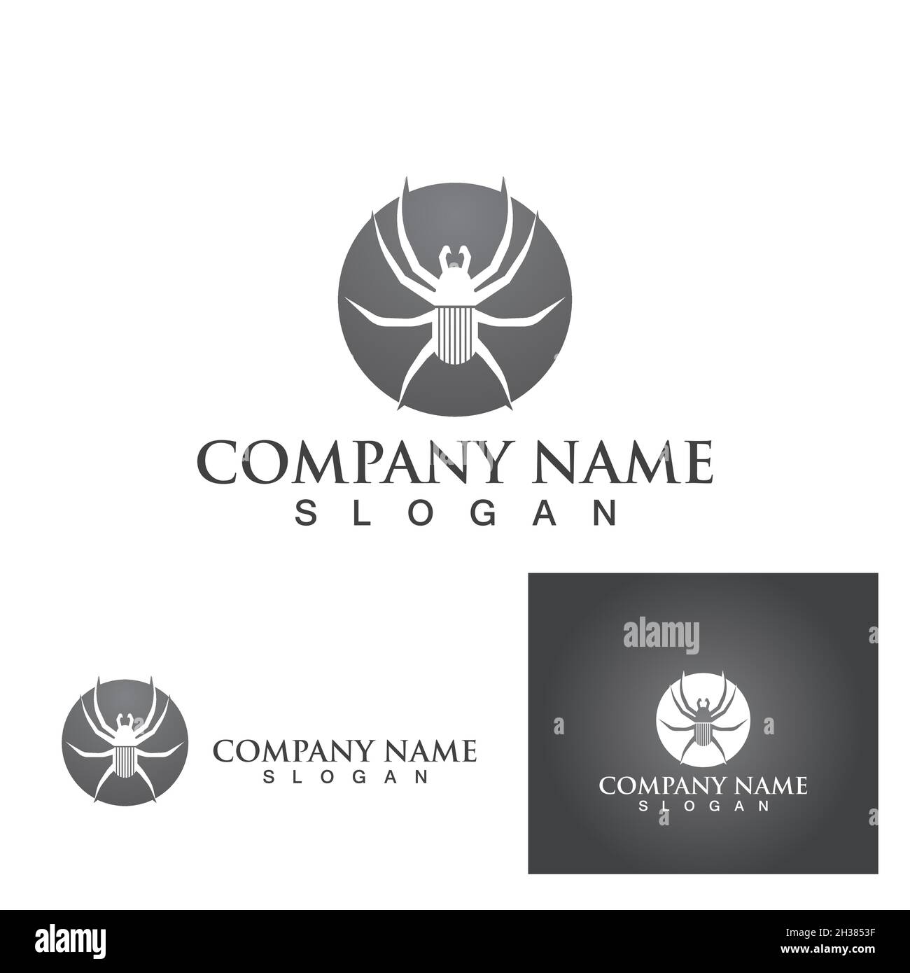 Spider logo template Stock Vector Image & Art - Alamy