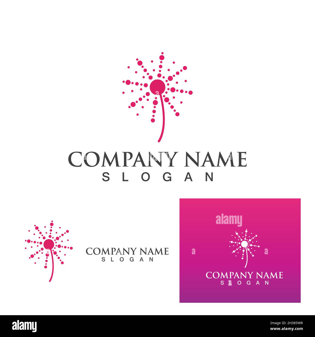 Dandelion flower vector illustration Stock Vector Image & Art - Alamy