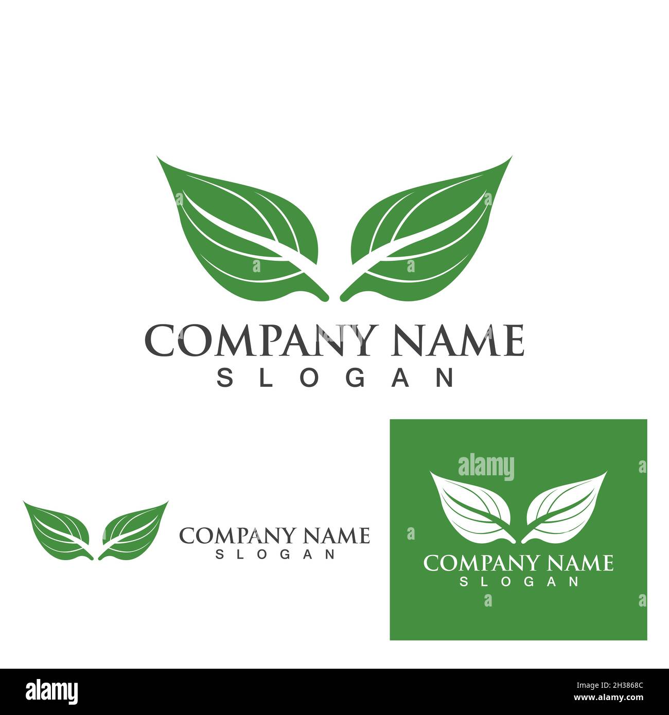 Betel leaf logo and symbol vector Stock Vector Image & Art - Alamy