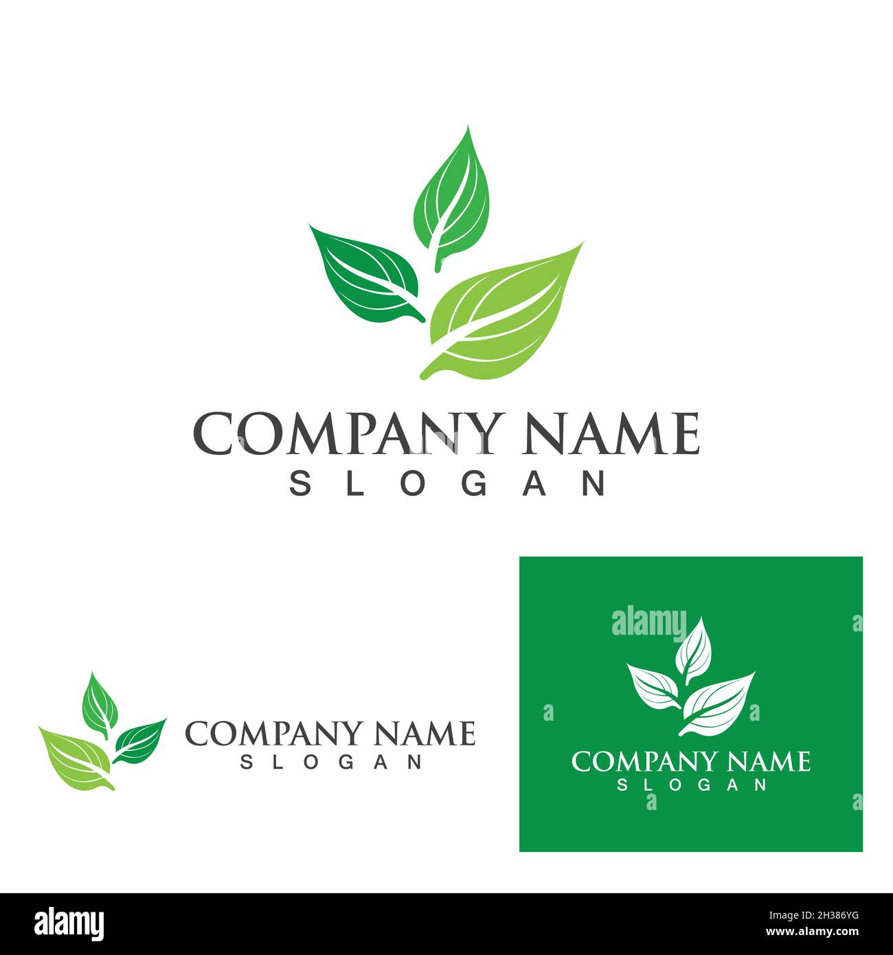 Betel leaf logo and symbol vector Stock Vector Image & Art - Alamy