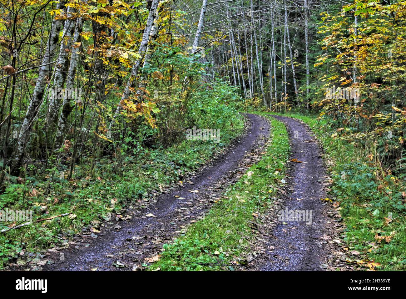 Worn tire ruts hi-res stock photography and images - Alamy