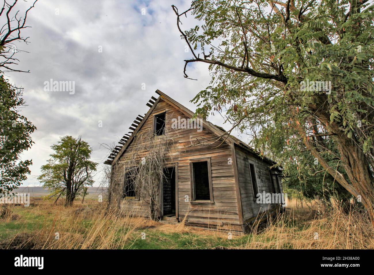 Lonely abandoned family farm house in the field with trees Stock Photo ...