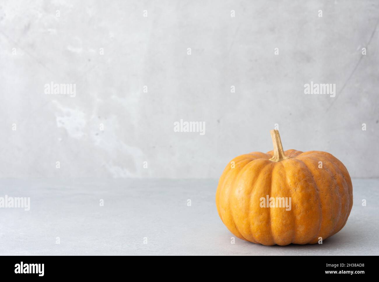 Brown pumpkin whole isolated close up on gray background, autumn ...