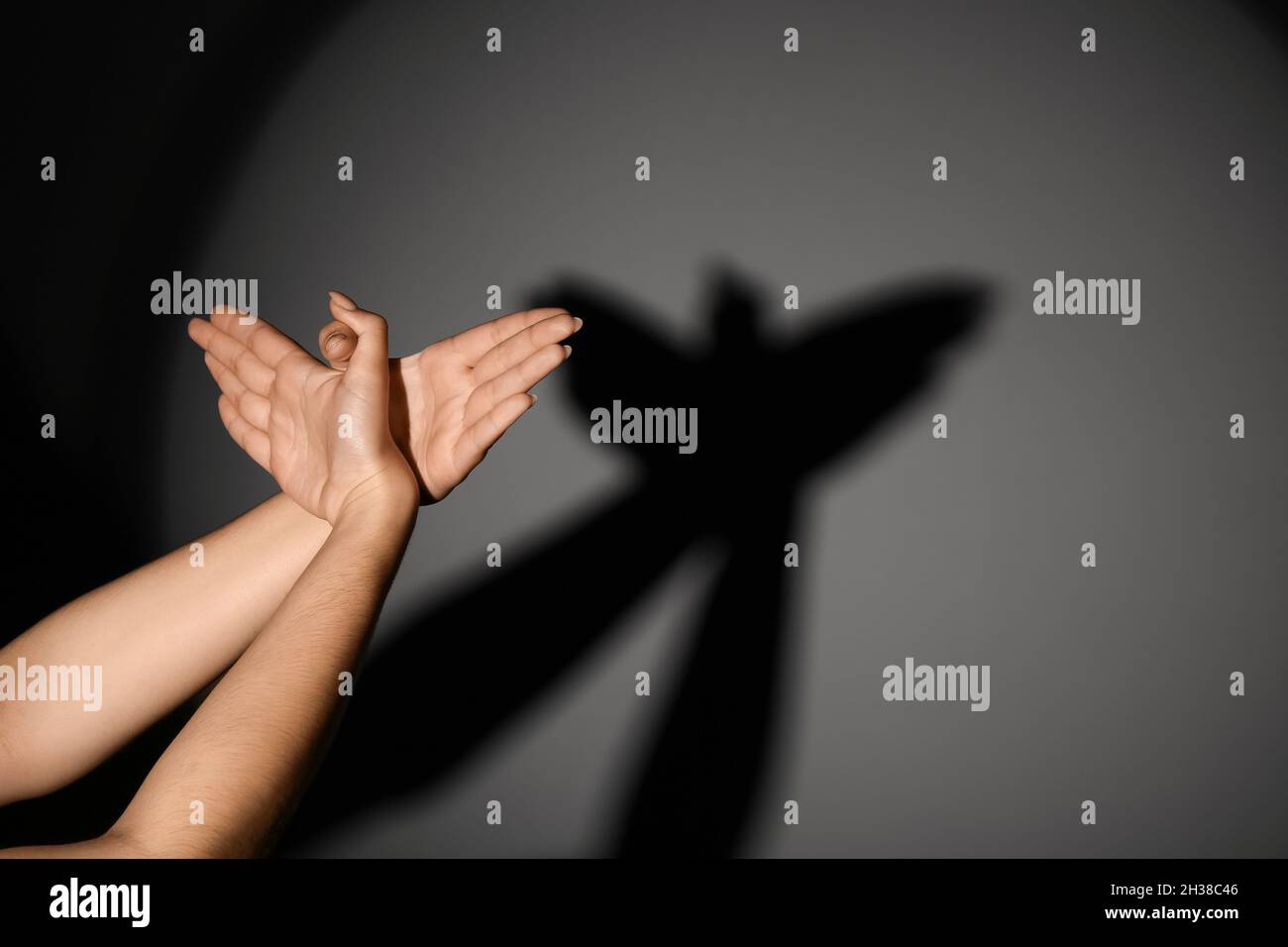 Woman making shadow bird with her hands on dark background Stock Photo ...