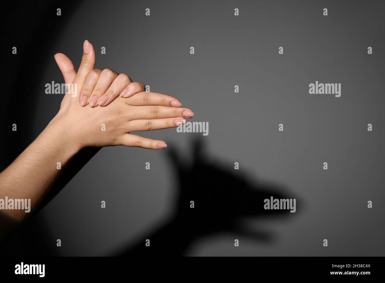 Shadow puppet show hands hi-res stock photography and images - Alamy