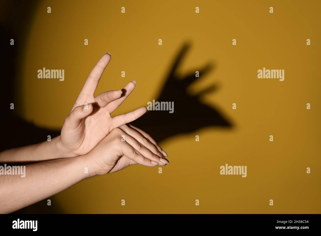 Shadow puppet show hands hi-res stock photography and images - Alamy