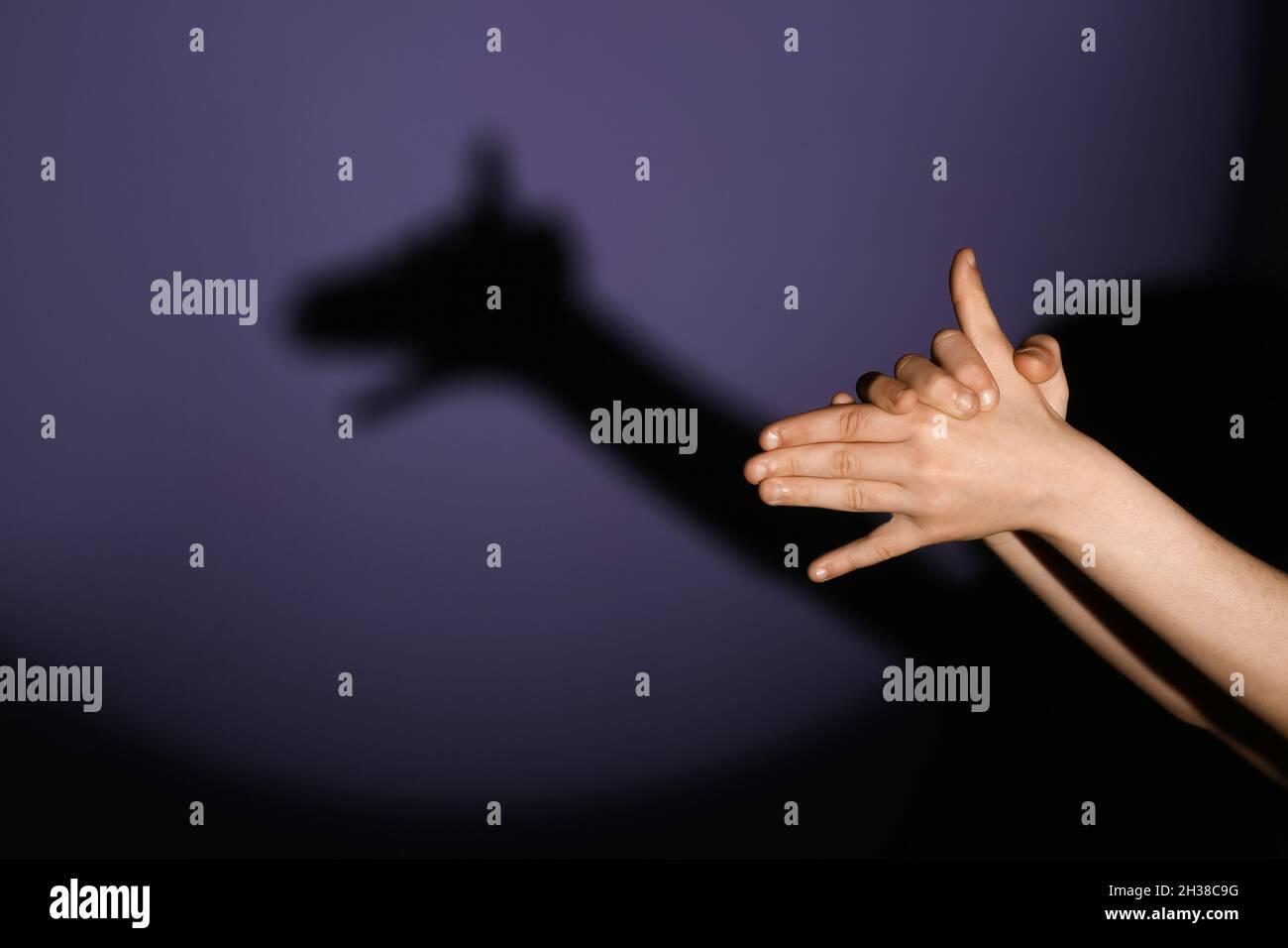 Child making shadow dog with his hands on dark color background Stock ...