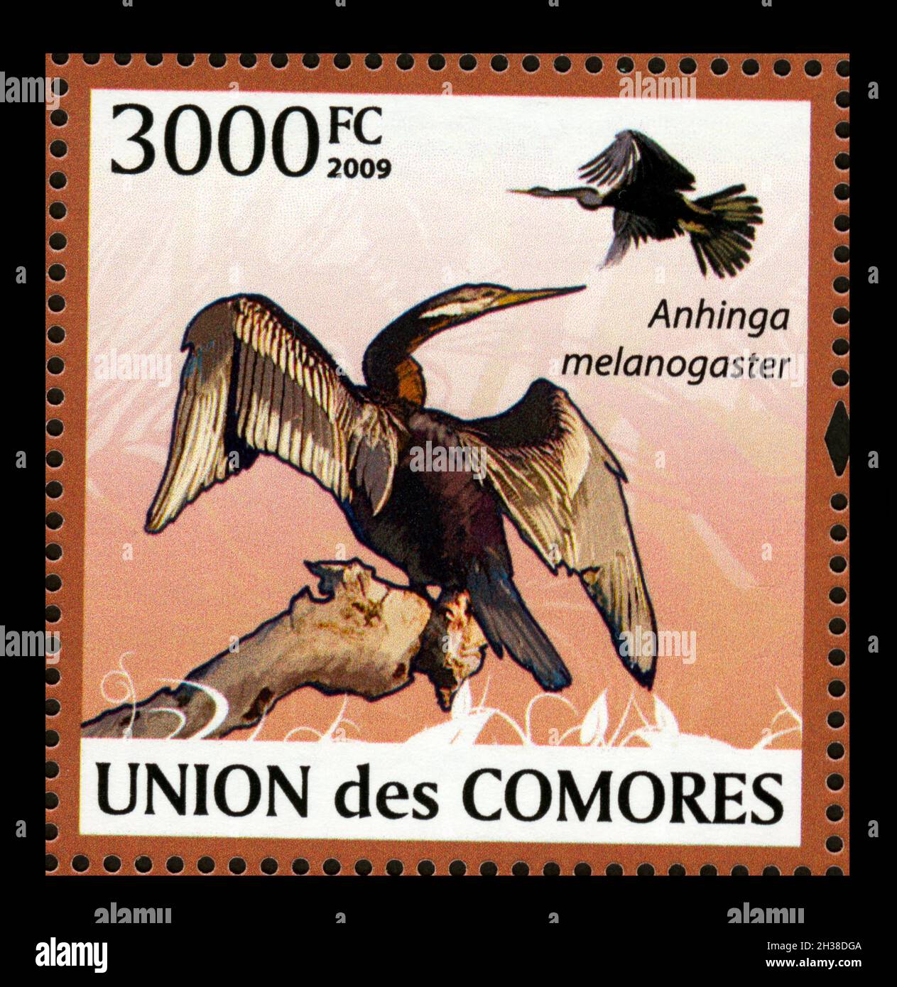 Comoros stamp hi-res stock photography and images - Alamy