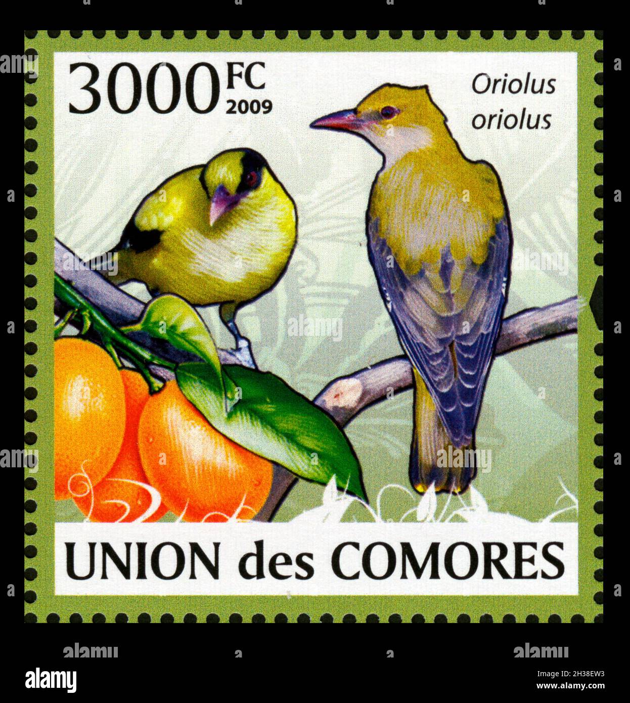 Comoros stamp hi-res stock photography and images - Alamy