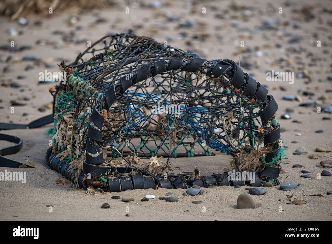 Abandoned lobster pot hi-res stock photography and images - Alamy