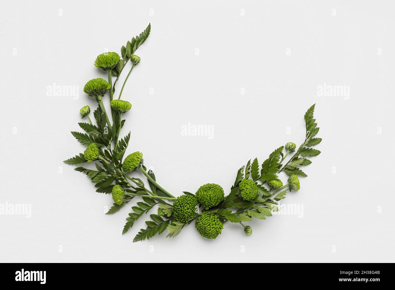 Composition with flowers and leaves on white background Stock Photo - Alamy