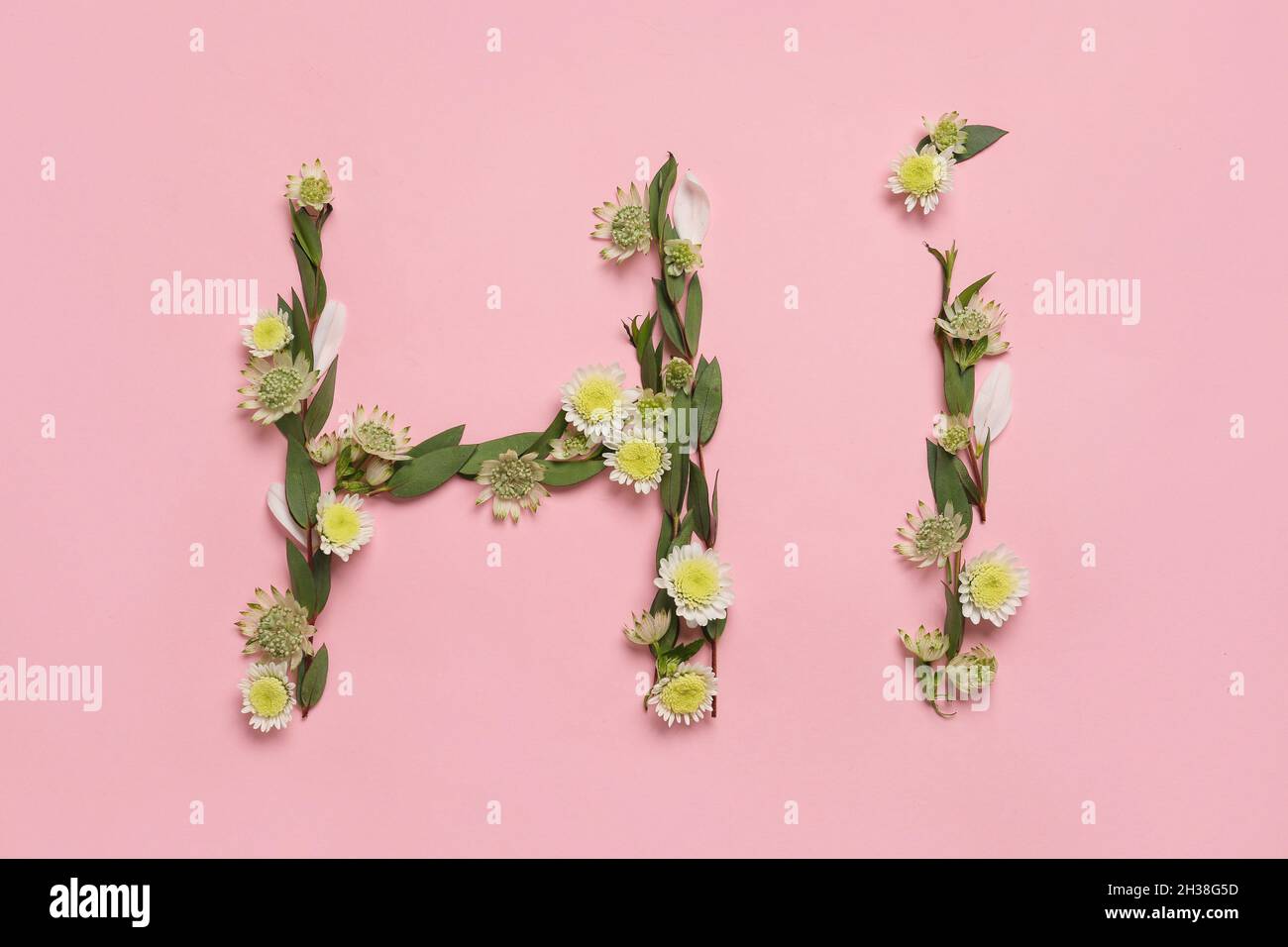 Floral background hi hi-res stock photography and images - Alamy