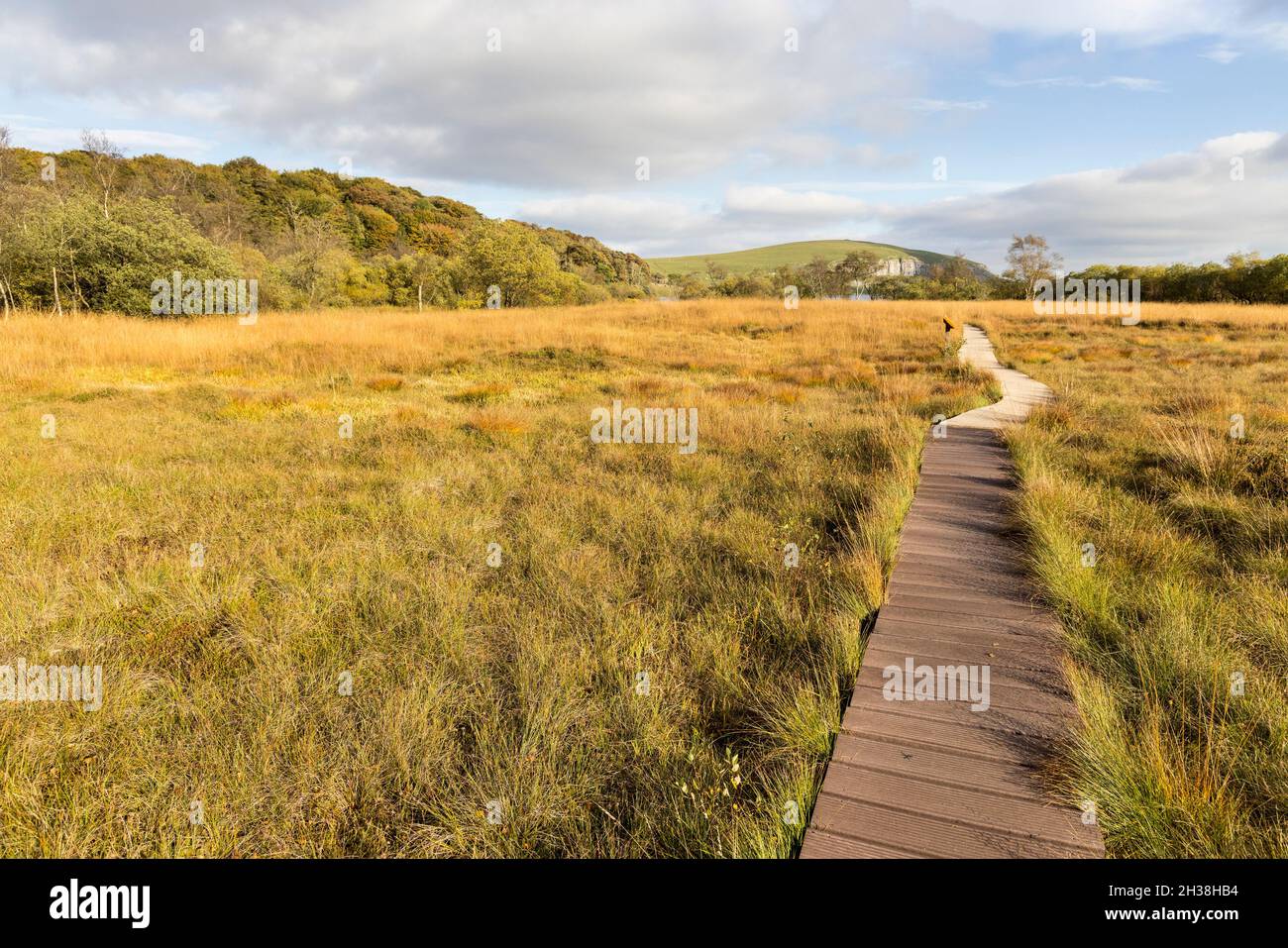 Malham tarn boardwalk hi-res stock photography and images - Alamy