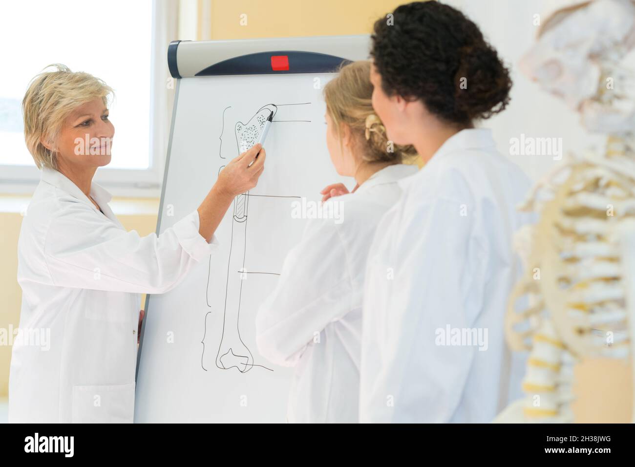 two young women studying human body Stock Photo - Alamy