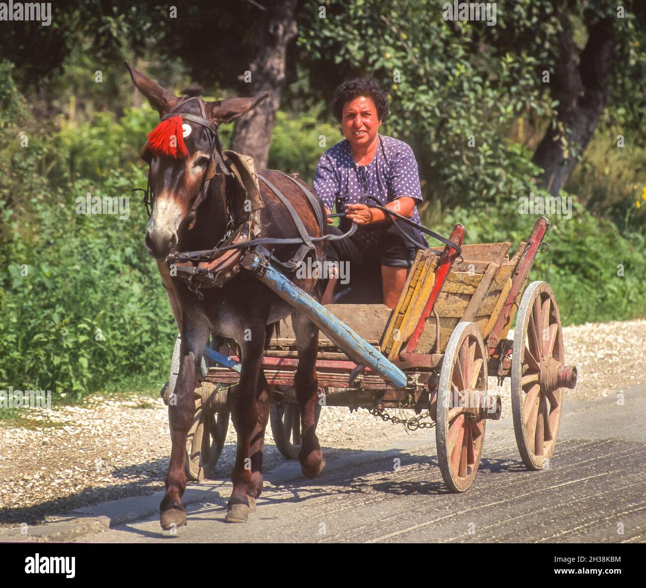 Gypsy bulgaria High Resolution Stock Photography and Images - Alamy