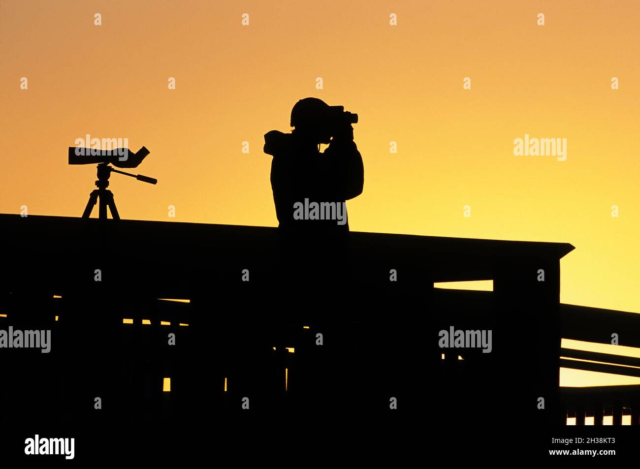 Bird watching platform at dawn in Cape May New Jersey Stock Photo - Alamy