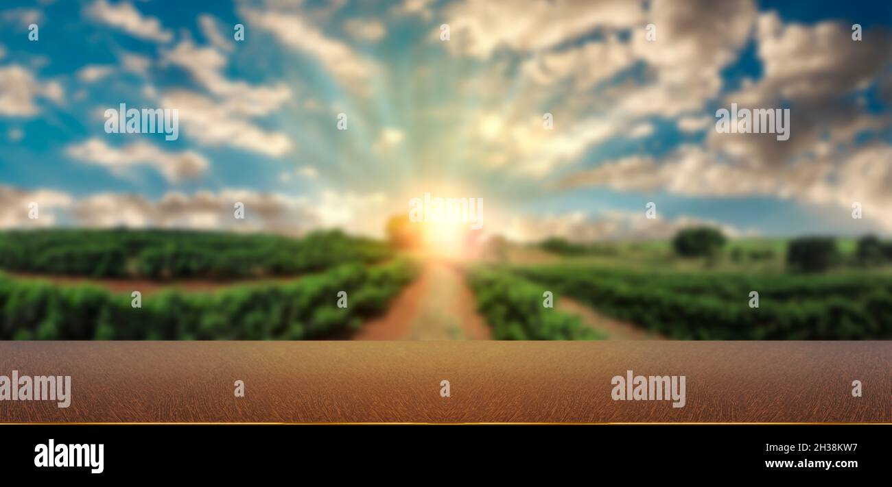 Empty wooden table with view of coffee plantation or wooden desk with ...