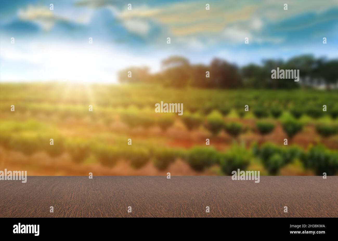 Empty wooden table with view of coffee plantation or wooden desk with ...
