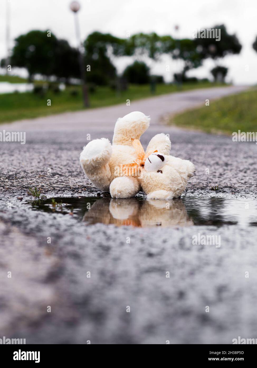 Lost teddy bear by a puddle Stock Photo - Alamy