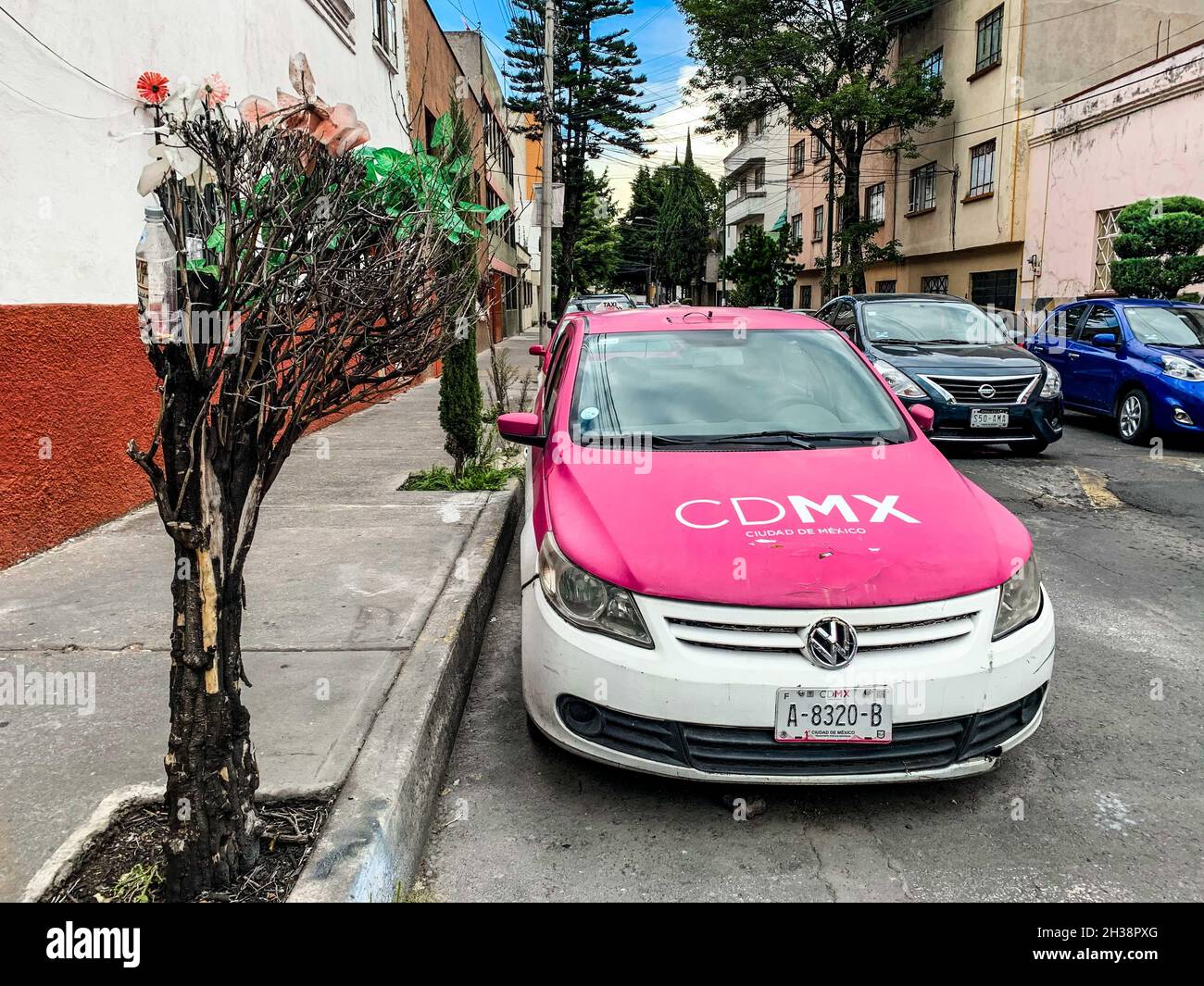 Taxi, pink color in Mexico City. Mexico City, Ciudad de Mexico, DF ...