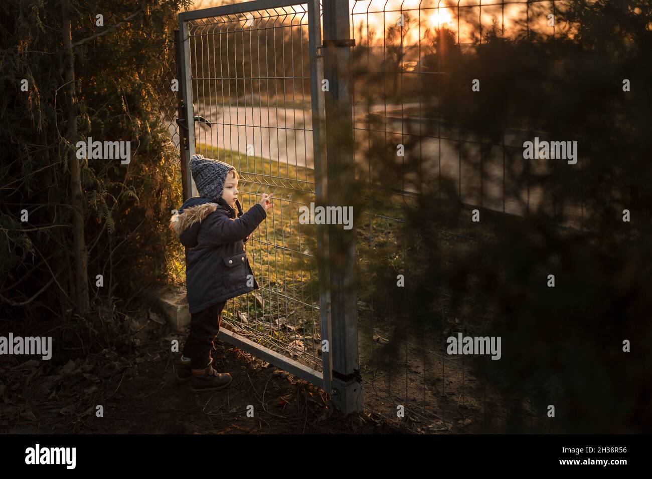 Small boy looking through gate of the garden outside on the road Stock ...