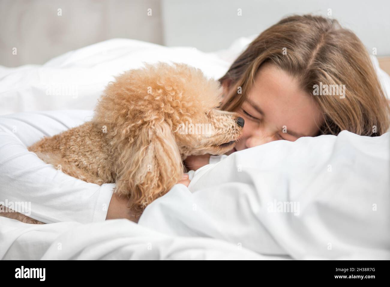 What Time Should A Puppy Go To Bed And Wake Up