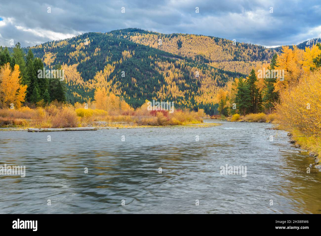 fall colors along the clark fork river at beavertail hill state park ...
