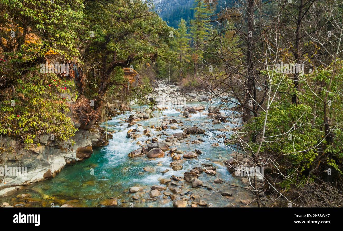 the mountain river in Bhutan in the Thimphu Stock Photo - Alamy