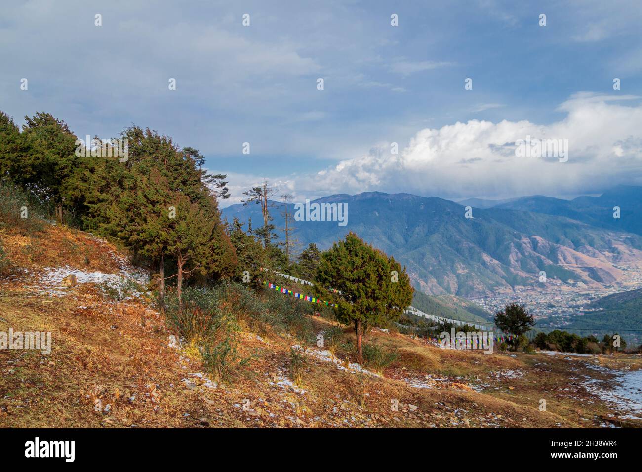 Traditional prayer Tibetan Buddhist flags Lung Ta in the Phajoding ...