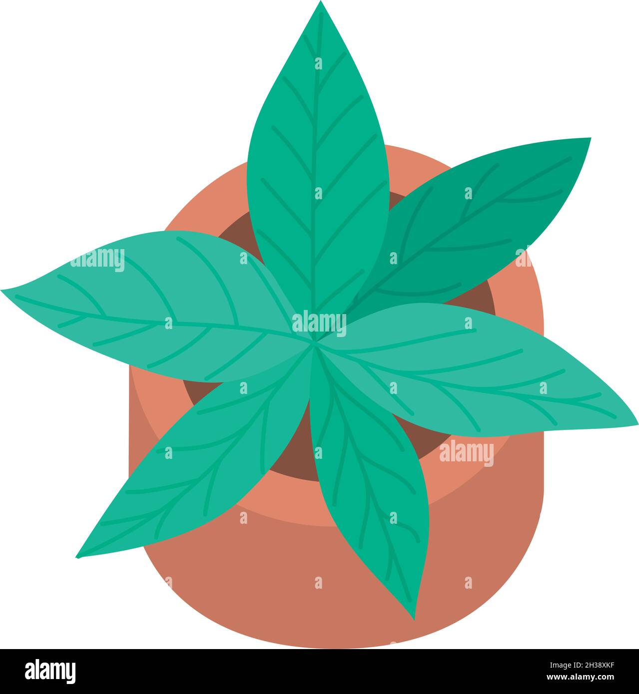 nice plant illustration Stock Vector Image & Art - Alamy
