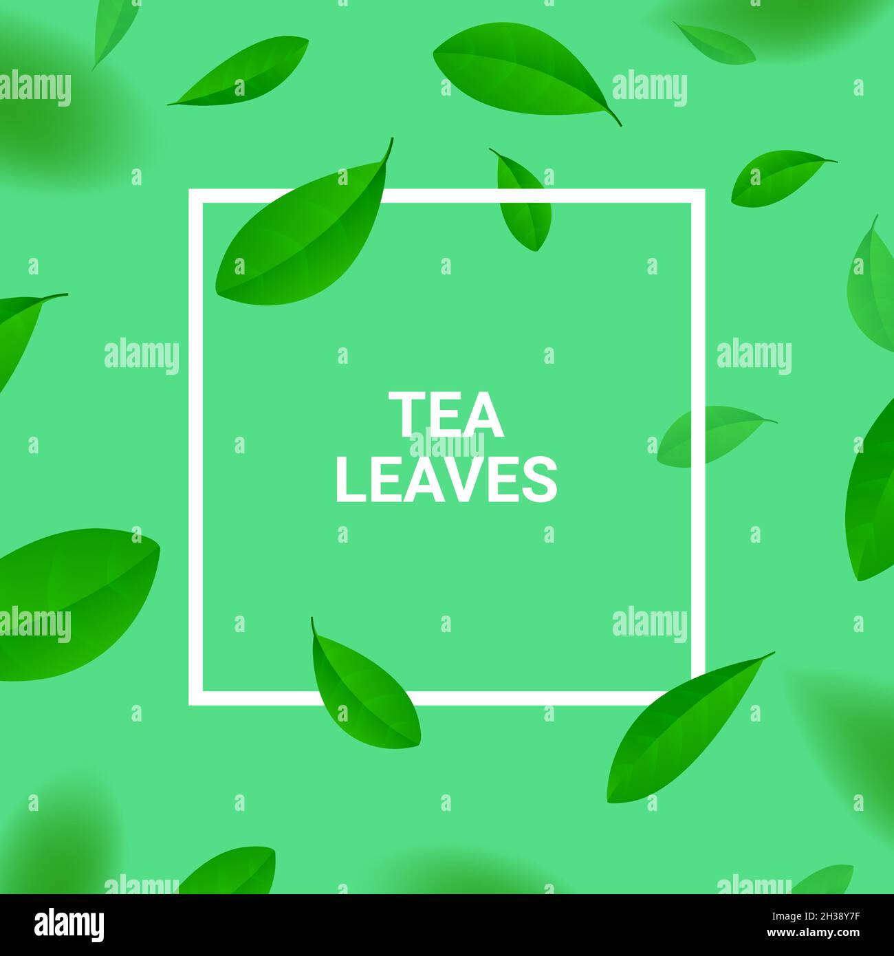 Green tea vector background mint eco frame illustration. Organic green ...