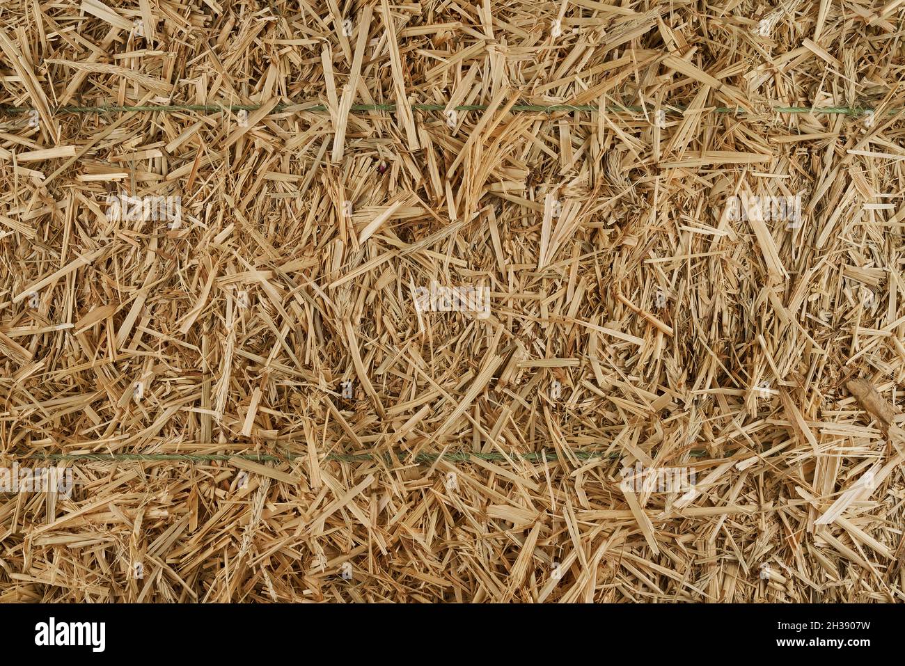 Flat lay photograph of the top of a hay bale with green twine Stock ...