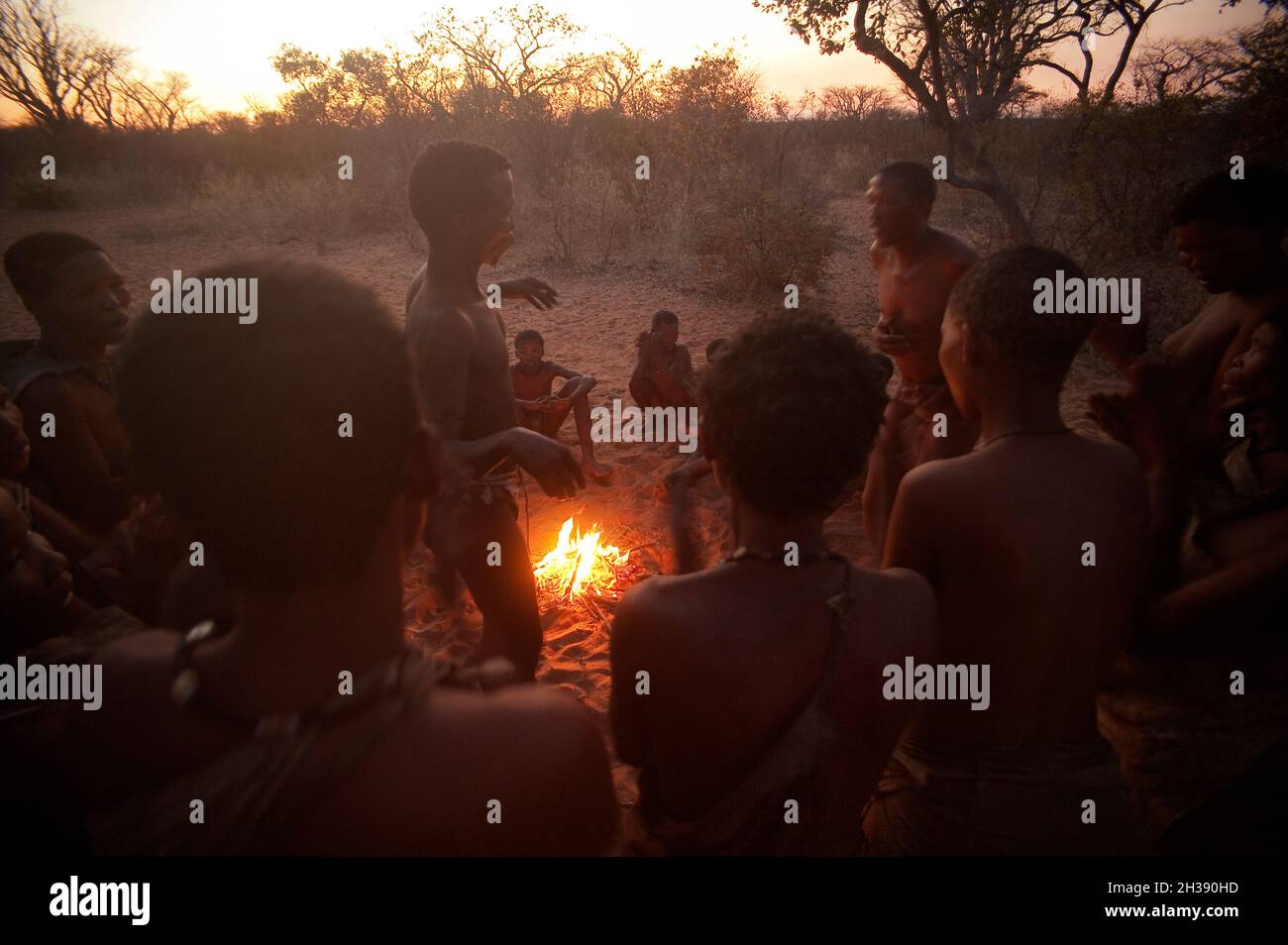 Bushman people around the campfire performing a traditional dance at ...