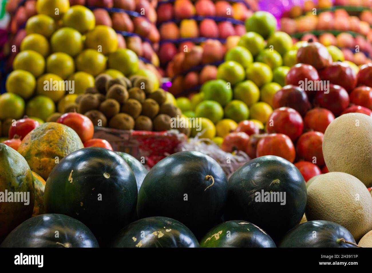 Watermelons on fruit stall precisely arranged at Devaraja market in ...