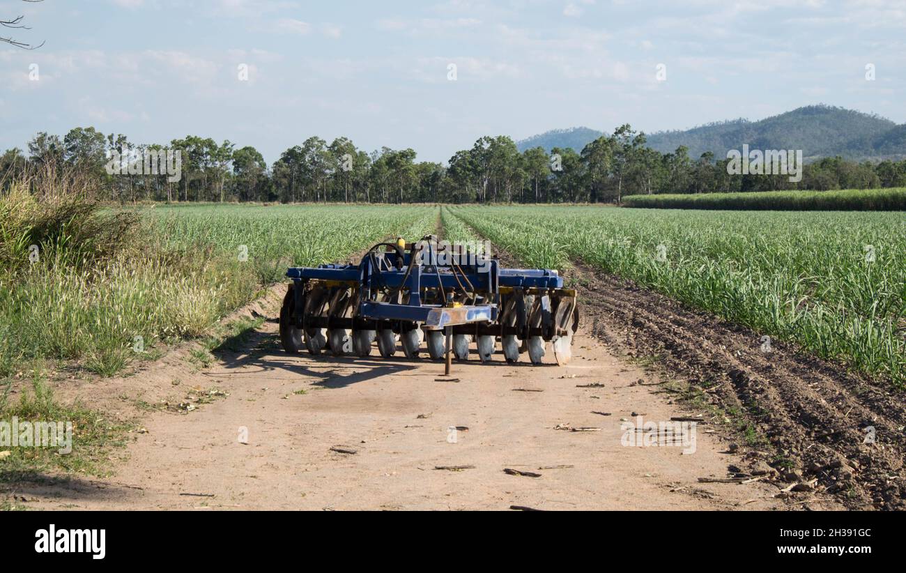 Farmland near Mirani, Queensland Stock Photo - Alamy