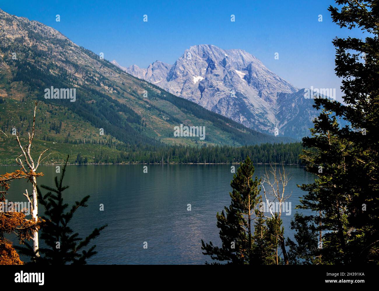 String Lake, Grand Teton National Park, Wyoming Stock Photo - Alamy