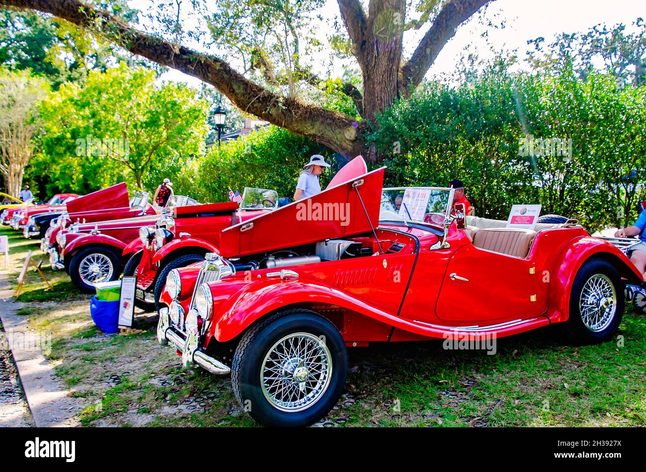 Mg Kit Car Manufacturer