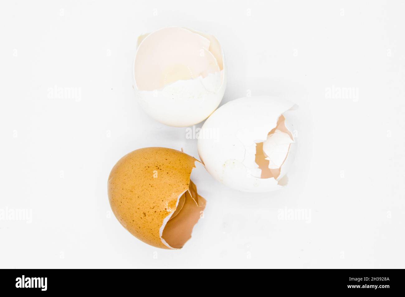White and brown broken egg shells, cracked egg shells, isolated on ...