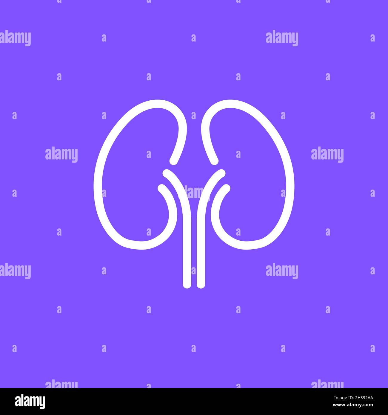 Kidney drawing hi-res stock photography and images - Alamy